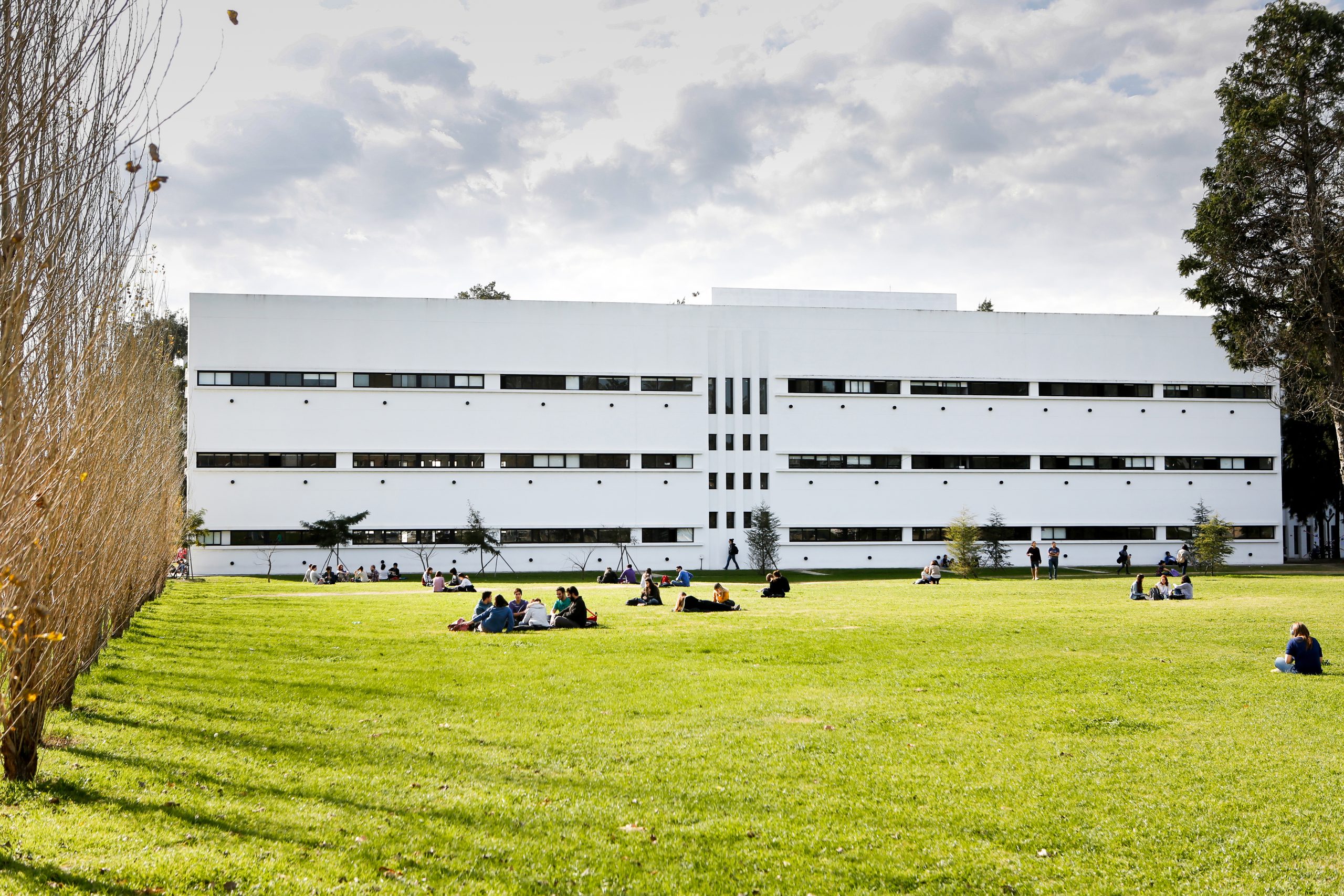 Las facultades de la UNLP retoman sus actividades esta semana – Fuerte ...